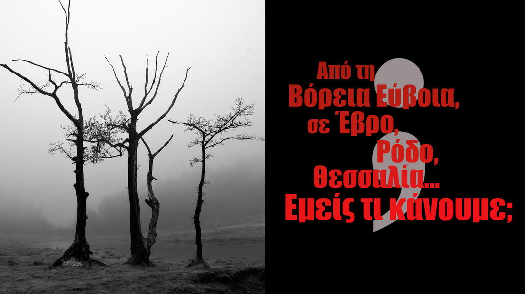 ΧΑΛΚΙΔΑ: Εκδήλωση για την φωτιά στη Βόρεια Εύβοια το 2021 και τις ...