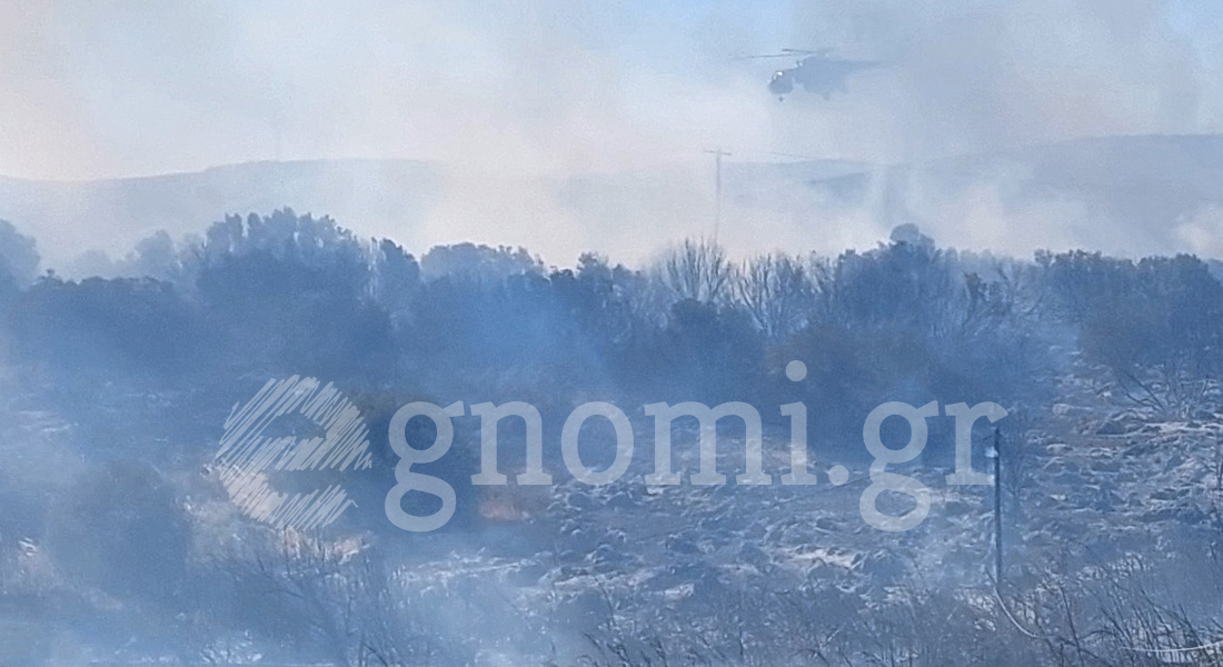 ΦΩΤΙΑ - ΑΛΙΒΕΡΙ: Συνελήφθη 60χρονος ως υπαίτειος - Ευβοϊκή Γνώμη online ...